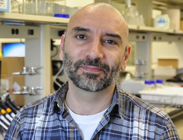 Paolo Bocchini and Javier Buceta: Shining a stochastic spotlight on ...